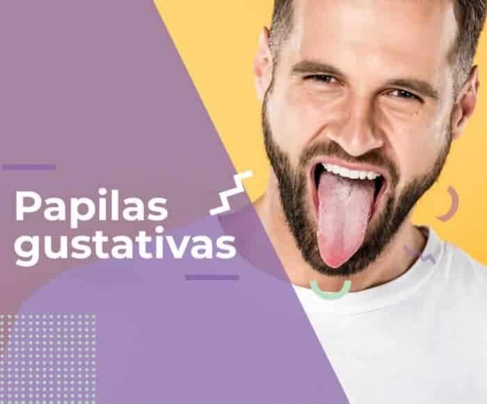 Papilas Gustativas: ¿Qué son? Estructura. Funciones. Trastornos ... Papilas Gustativas: ¿Qué son? Estructura. Funciones. Trastornos ...