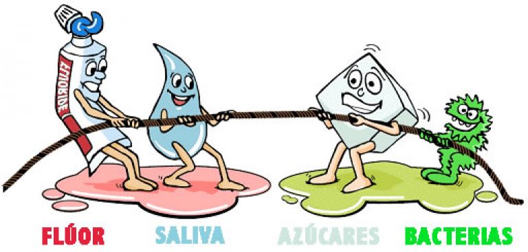 Saliva humana y salud bucodental. Qué es. Propiedades | Clínica Dental ...